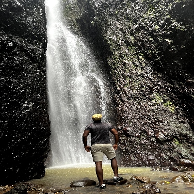 Chasing Waterfalls Tour – Explore Dominica's Hidden Gems with Flip ...